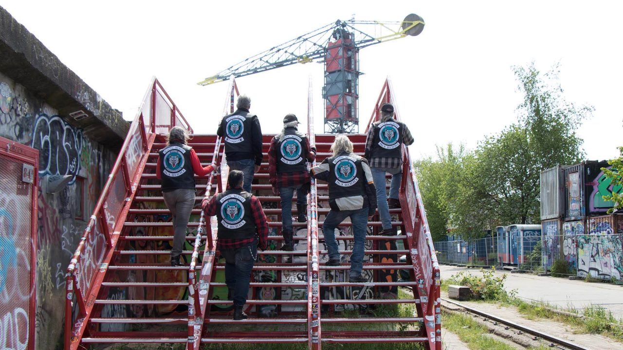 Over ons | Mystic Wolves